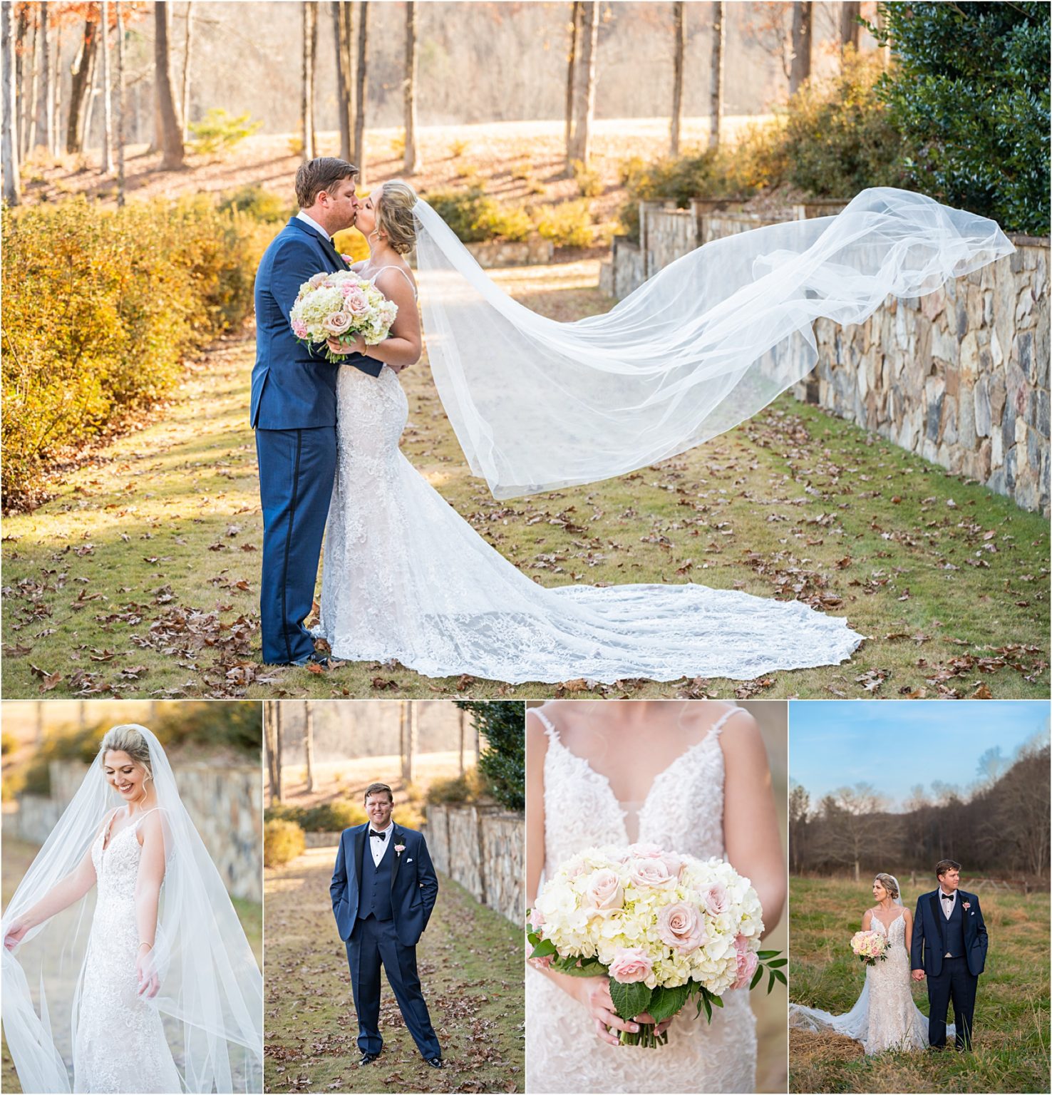 Blog - Mandi Mitchell