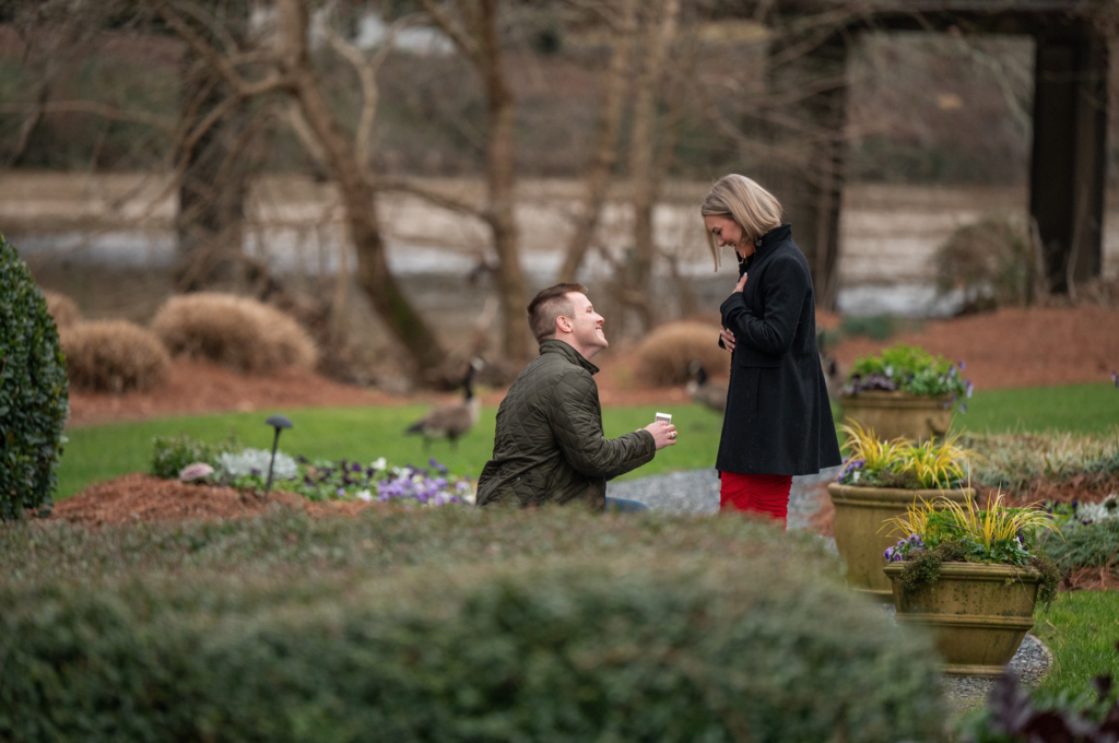 Blog - Mandi Mitchell